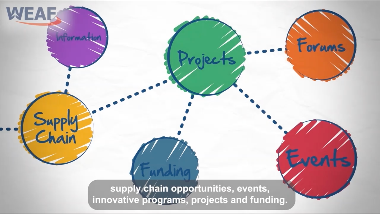 WEAF at the FIA - The full story | WEAF